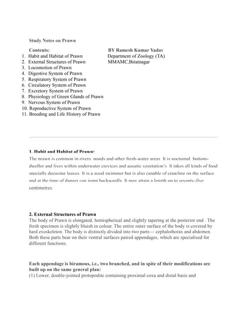 MORPHOLOGY OF PRAWN (Penaeus indicus) | PPTX