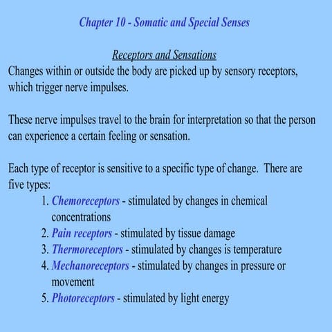 Notes on Senses .ppt