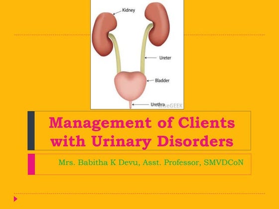 Pathophysiology of Urinary tract infection | PDF | Infectious Diseases ...