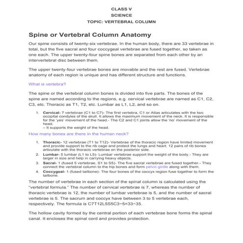 NOTES ON VERTEBRAL COLUMN ITS STRUCTURE AND FUNCTIONS | DOCX