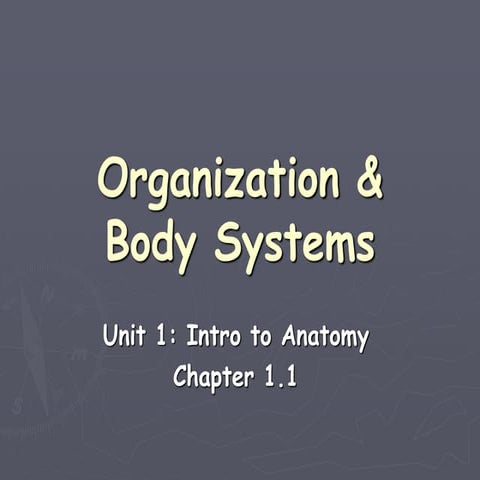 notes_organization_and_body_systemskd11 (1).ppt
