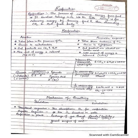 Notes pdf respiration | PDF