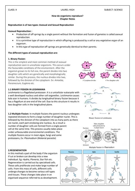 4. Grade-7-Q2-Module-4-Sexual-Reproduction-2nd-Ed.pdf