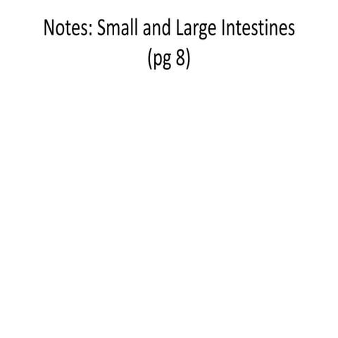 Notes small and large intestines | PPTX