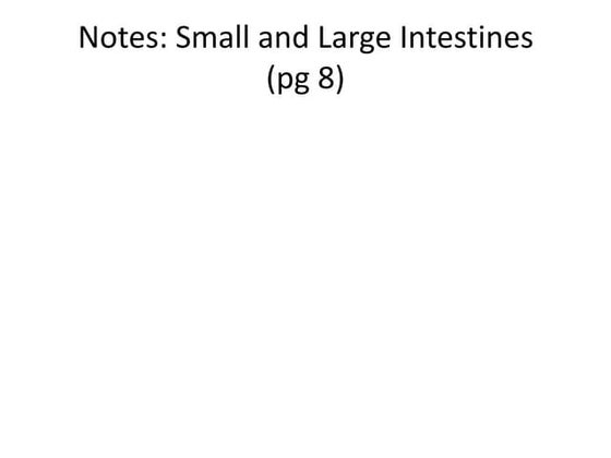 Chemical digestion notes | PPT
