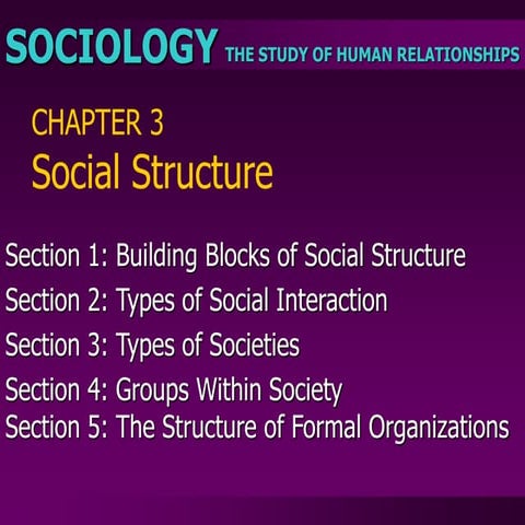 Notes soc chapter 3 | PPT