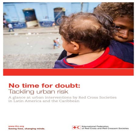 No time for doubt- tackling urban risks | PDF
