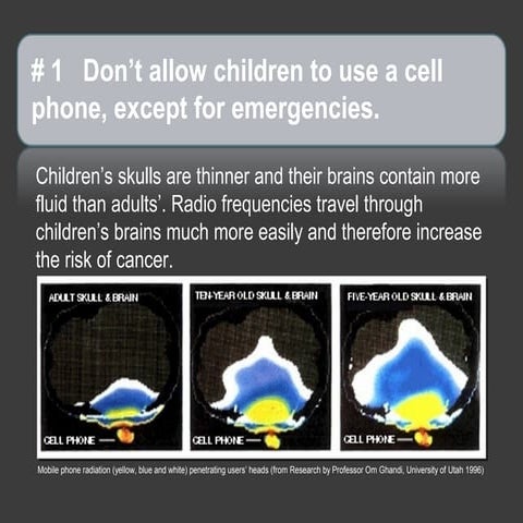 NO TO CELL | PPT