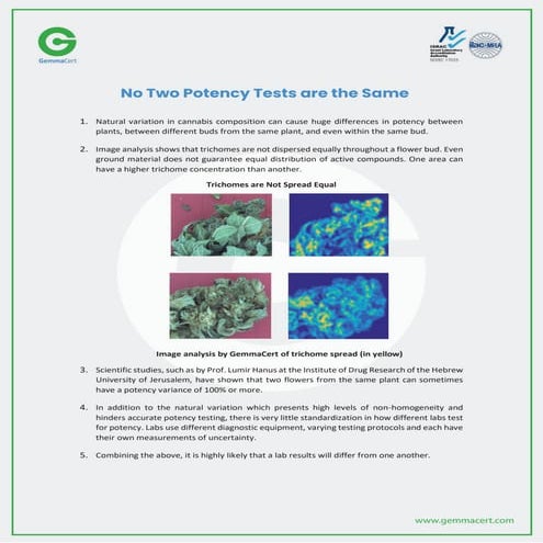 Cannabis Testing The Current Landscape | PPTX