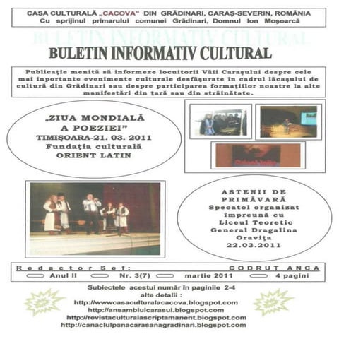 Buletin Informativ Cultural nr.3(7) 2011 | PDF