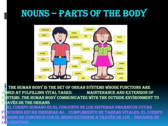 Body parts kindergarten open class or topic | PPT