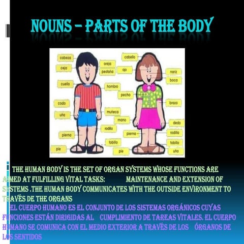 Nouns – parts of the body | PPTX
