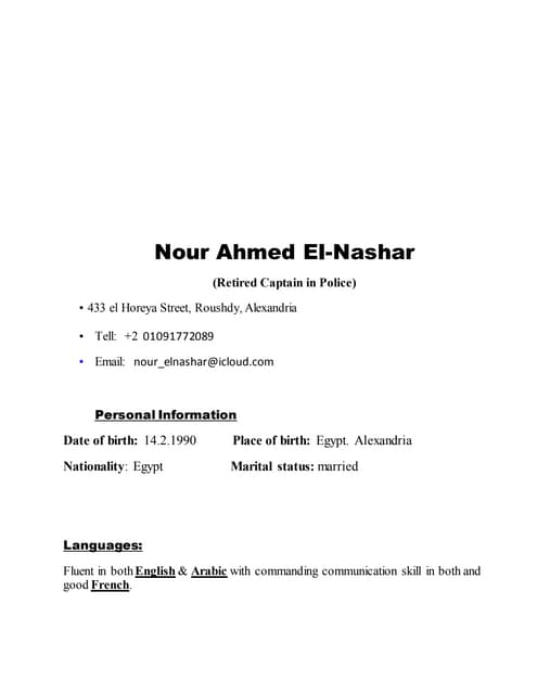 Mohamed Adel Cv 2016 | PDF