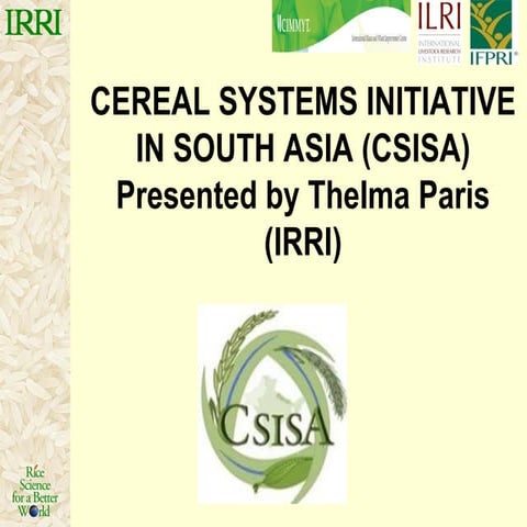 Nov 05 2010 CSISA IRRI SSD Thelma Paris | PPT