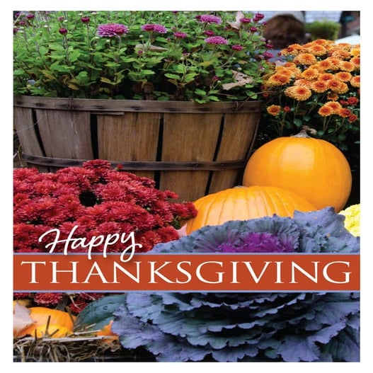 Knghtdale Baptist Church November 22nd Worship Bulletin | PDF