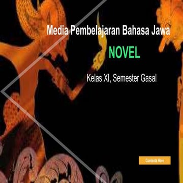 novel.ppt