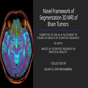 Novel Framework of Segmentation 3D MRI of Brain Tumors.pptx
