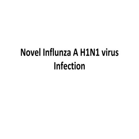 H1 N1 Information Sheet | PDF