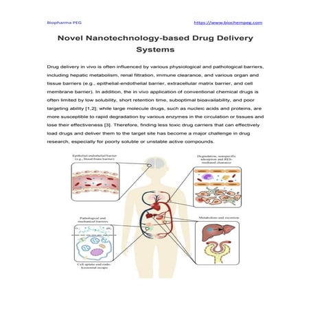 Novel Nanotechnology-based Drug Delivery Systems.pdf