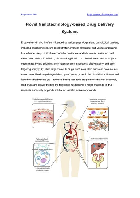 TUMOR TARGETING DRUG DELIVERY | PPT