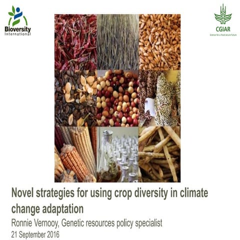 Novel strategies for using crop diversity in climate change adaptation ...