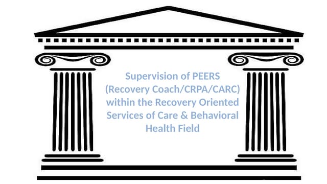 OIG UR Handout 1 bims interview | PDF