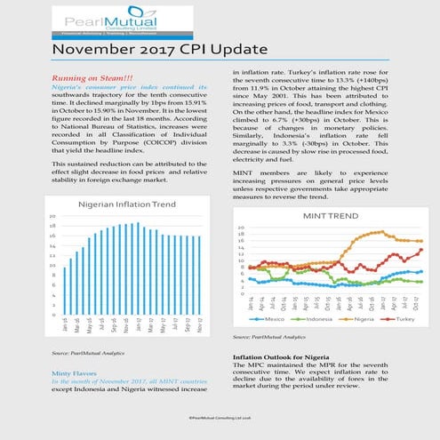 November CPI Report | PDF