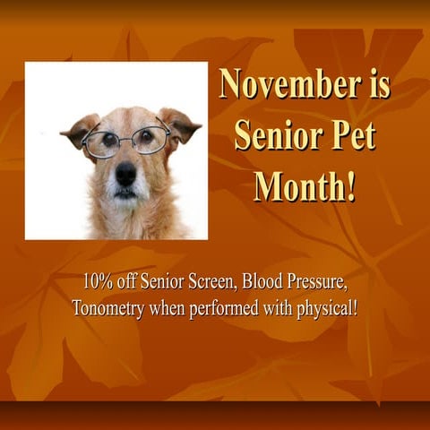 November is senior pet month! | PPT