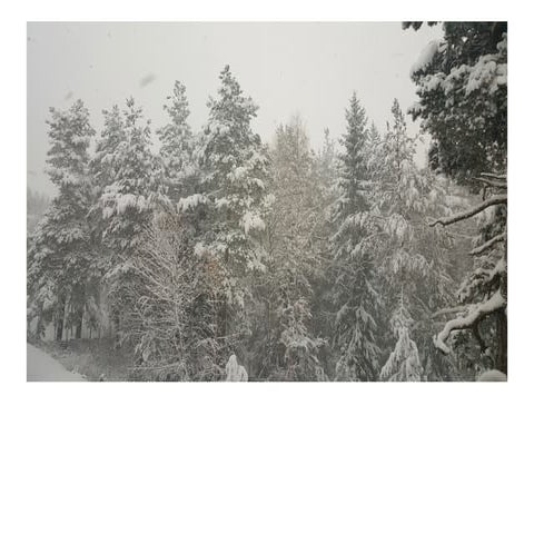 November snow in Stockholm by Ingemar Pongratz | PDF