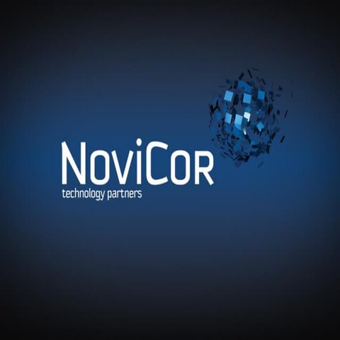 NOVICOR Consultancy for Technology | PDF