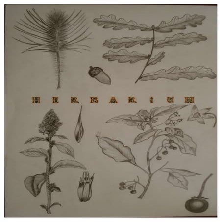 Preparing the herbarium | PPT