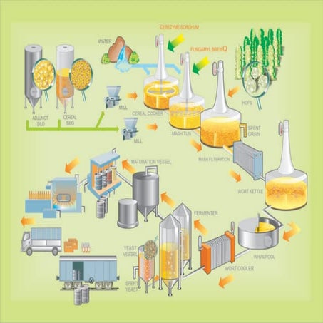 Novozyme illust | PDF