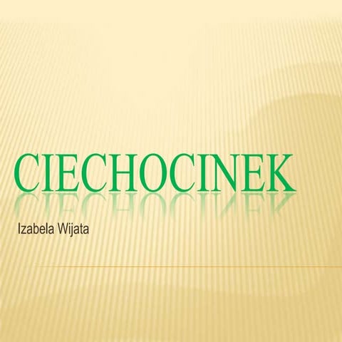 Kraśnik prezentacja 2 | PPT