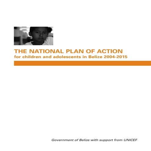 National Plan of Action | PDF