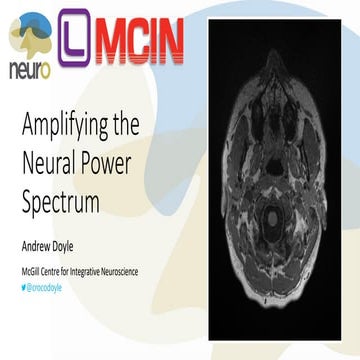 Neural Power Amplifier | PDF