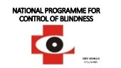 Blindness Prevention and Control | PPT