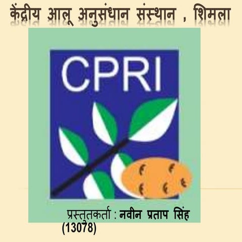 central potato research institute , shimla | PPTX
