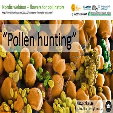 Pollen hunting_Lee | PDF | Beekeeping | Hobbies & Interests