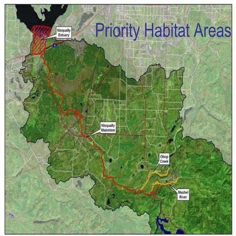 Salmon Recovery Presentation | PPT