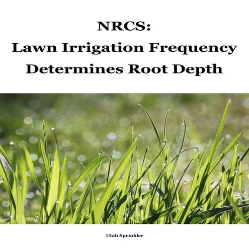 NRCS: Lawn Irrigation Frequency Determines Root Depth | PDF