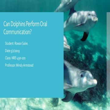 NRE 490 Final Presentation on Dolphin Behavior.pdf