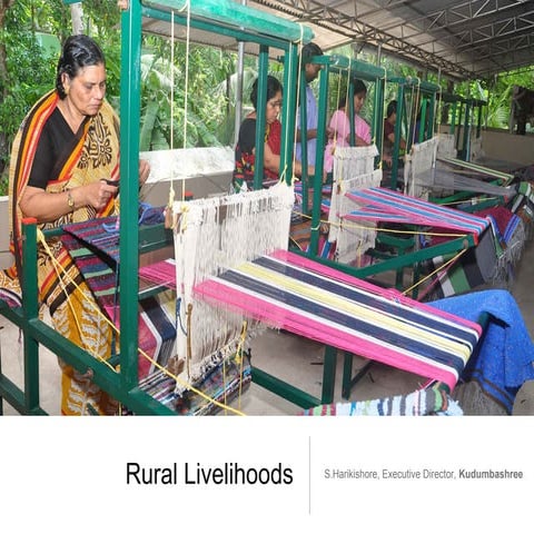 Rural Livelihoods | PDF