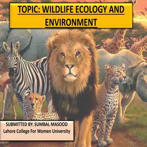 Wildlife ecology and environment | PPTX
