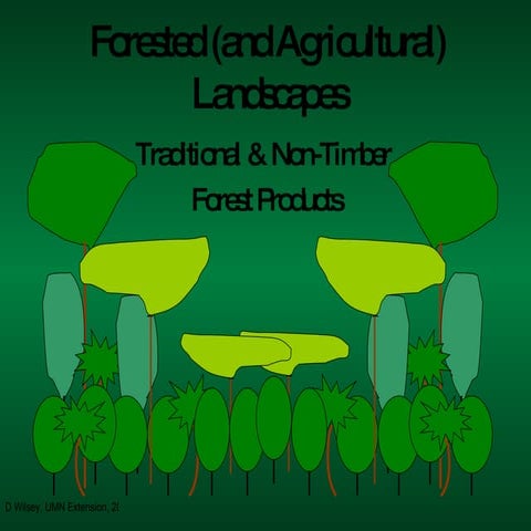 NRMU NTFP Pitch | PPT