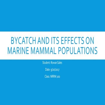 NRRM 200 Statistics on Bycatch's Effects on Marine Mammals Slideshow.pdf