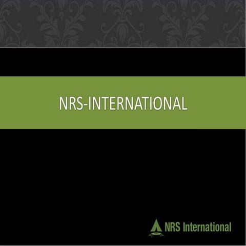 NRS international is an NGO, work for Disaster Affected people. | PPT