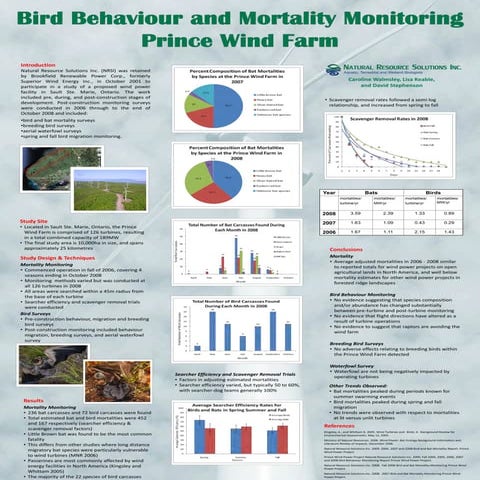Bird Behaviour and Mortality Monitoring | PDF
