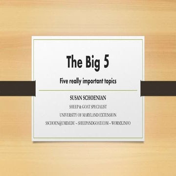 TheBigFiveTopics | PPTX
