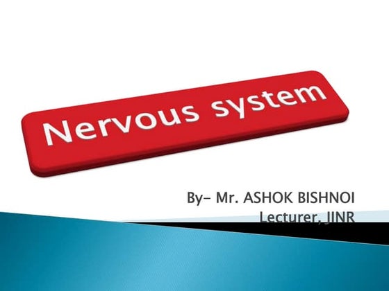 Nervous System | PPT