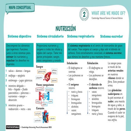 Science Concept_Map la nutrición nutrition | PDF